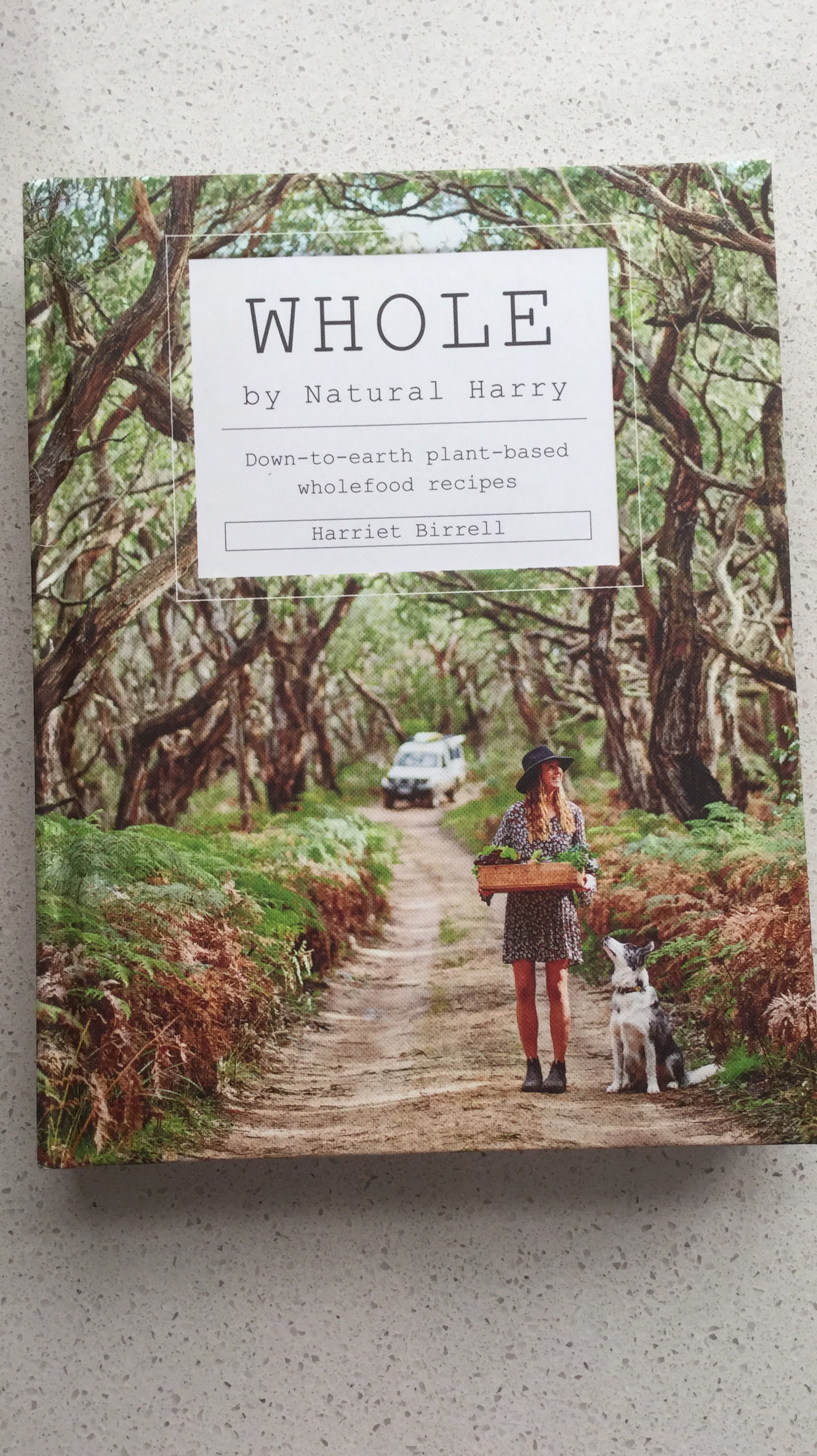 Book Club Tuesday: Whole by Natural Harry – Shipshape Eatworthy